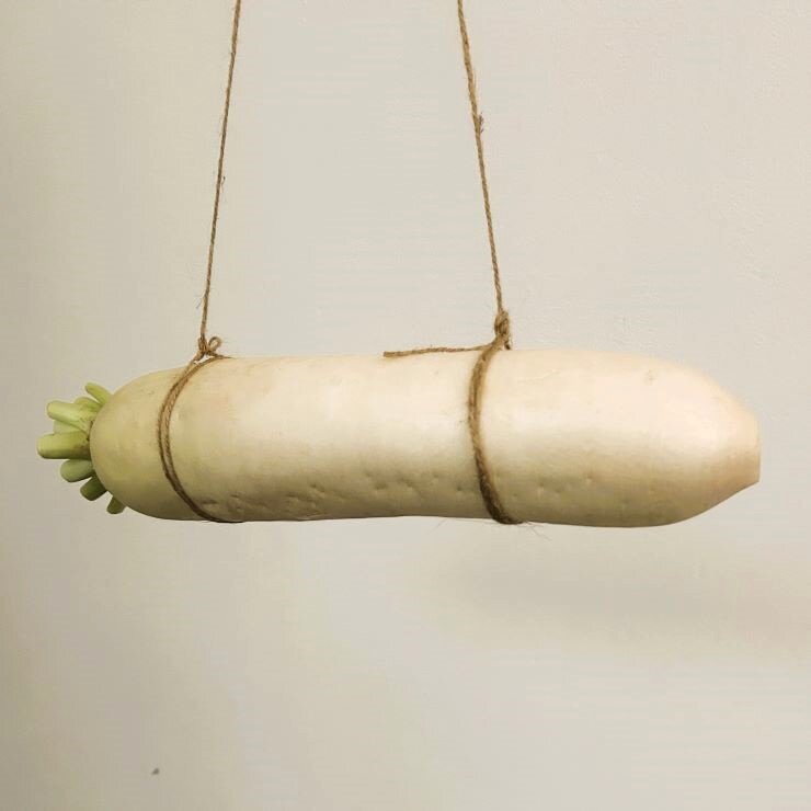 たくあんを漬けてみた！おうちで簡単に漬ける3つの方法【とにかく漬ける山崎】｜食のWebメディア weeeat!